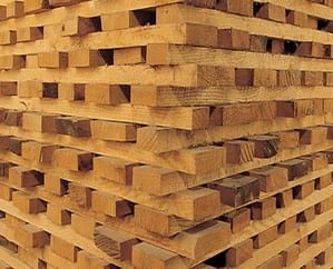 How To Cure Wood | Cut The Wood