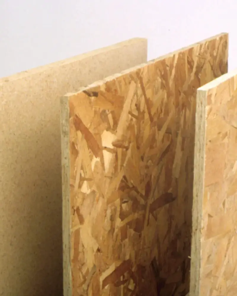 Wood Types 101: Three Main Types & How To Identify | Cut The Wood