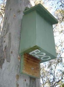 51 Bat House DIY Plans | Cut The Wood