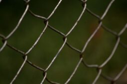 How To Attach Chicken Wire To Wood | Cut The Wood