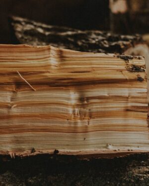 How To Electrocute Wood | Cut The Wood