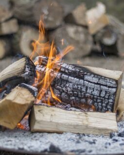 How To Burn Wood With Electricity | Cut The Wood