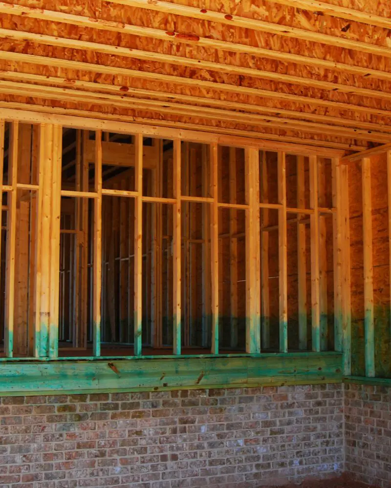 Watch Out: Signs Of Wood-Destroying Insects And How To Eliminate Them ...