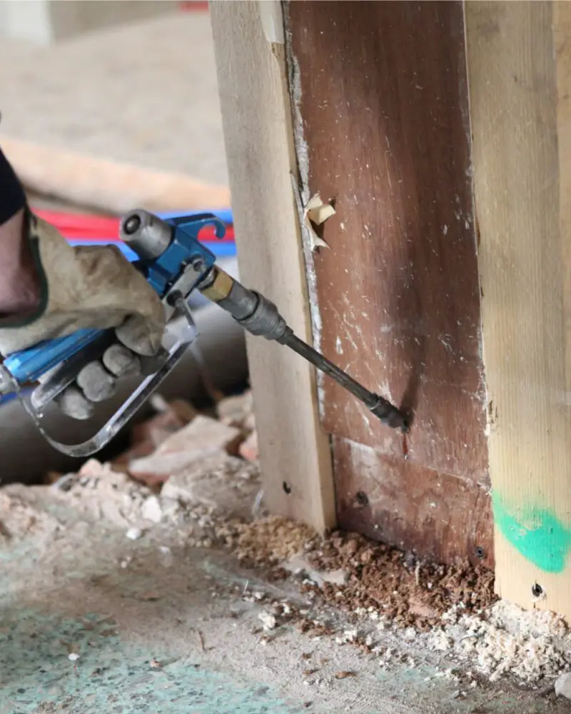 Watch Out: Signs Of Wood-Destroying Insects And How To Eliminate Them ...