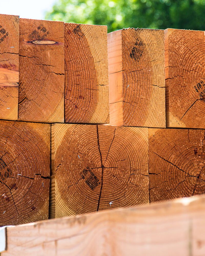 Pinewood | Wood Type | Cut The Wood