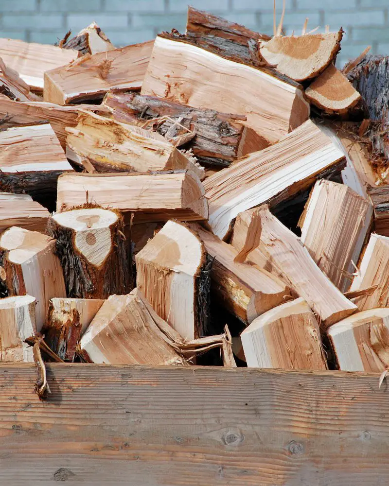 Wood Types 101: Three Main Types & How To Identify | Cut The Wood