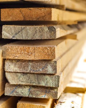 Pinewood | Wood Type | Cut The Wood