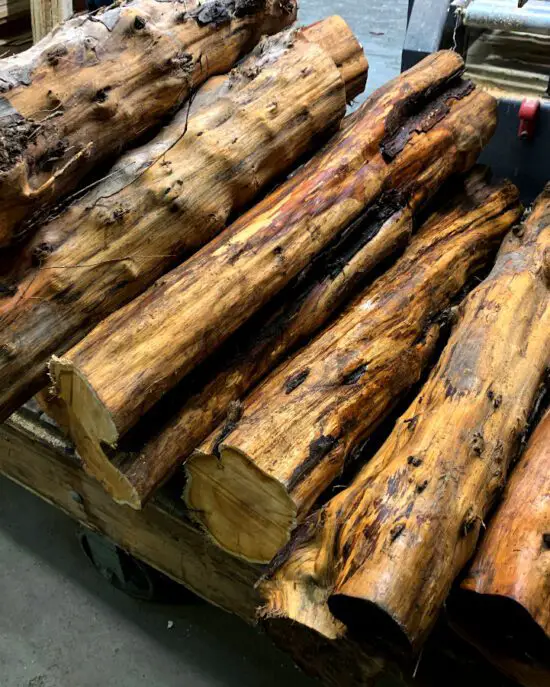 Pinewood | Wood Type | Cut The Wood