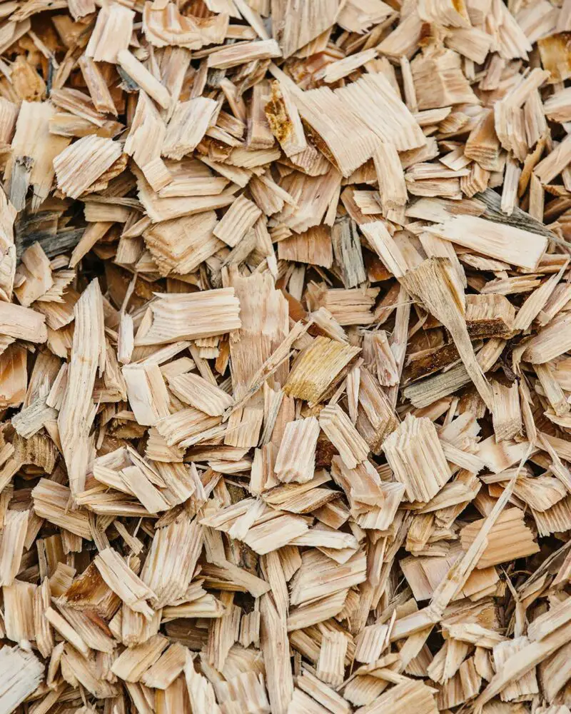 Wood Drying Methods And Guidelines | Cut The Wood