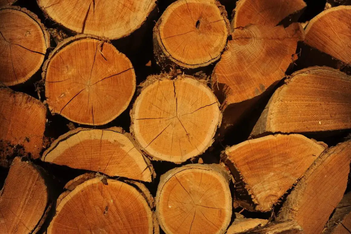 Wood Facts | Cut The Wood