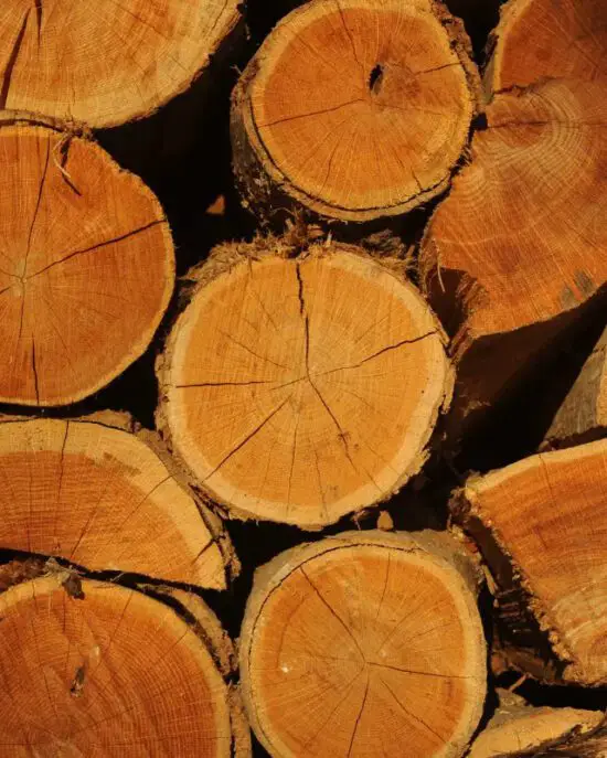 Pressure-Treated Wood: Everything You Need To Know | Cut The Wood