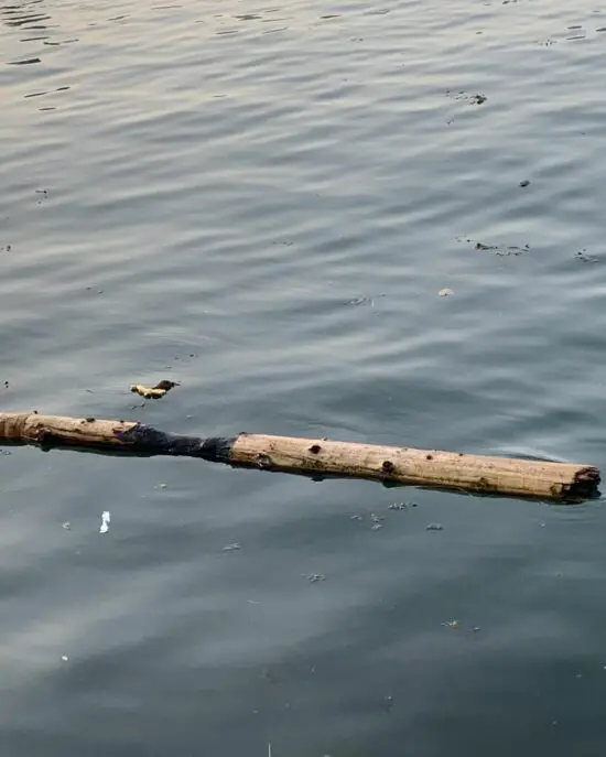 Lumber Grading (Hardwood, Softwood, And Quality) Explained | Cut The Wood