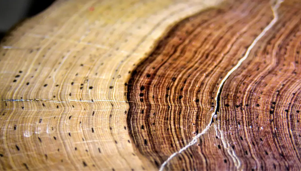 Guides | Cut The Wood