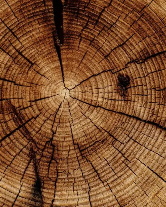 Rick Of Wood Explained | Wood Fact | Cut The Wood