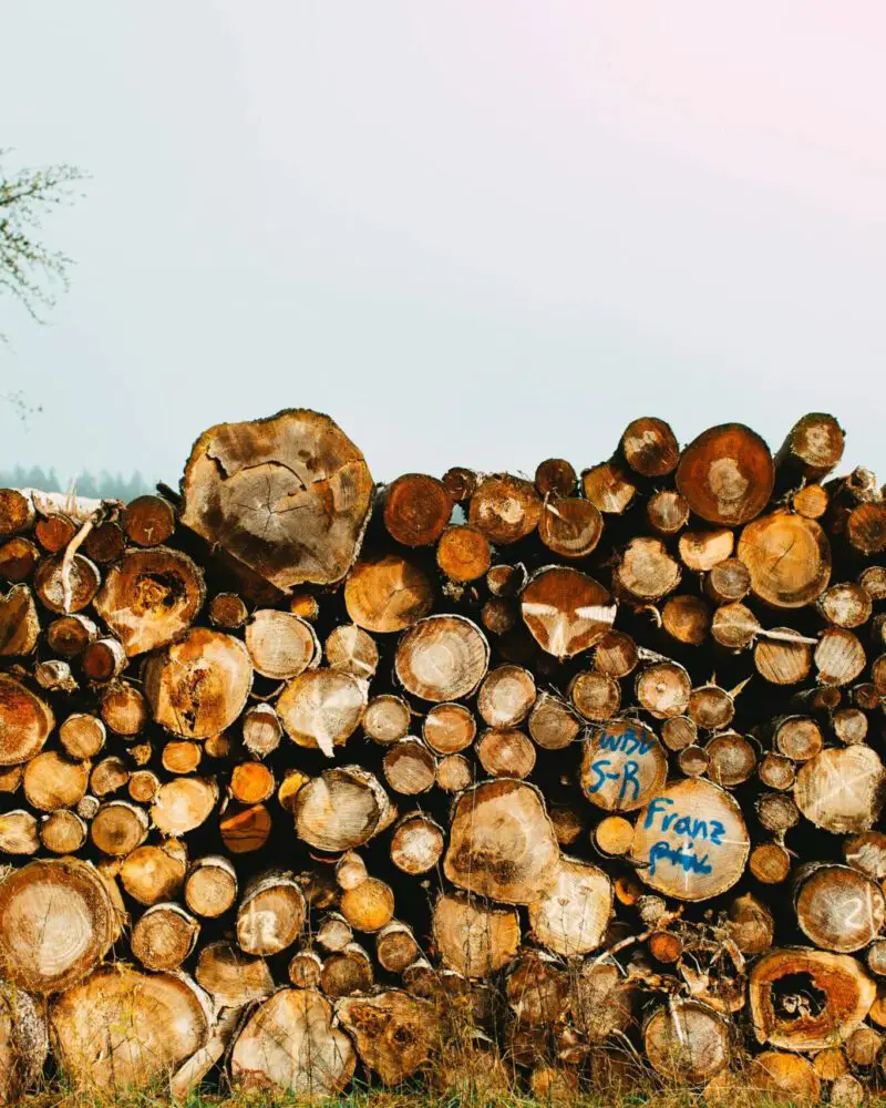 Lumber Grading (Hardwood, Softwood, And Quality) Explained | Cut The Wood