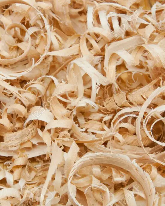 Wood Pulp: What It Is & How It Is Created | Cut The Wood