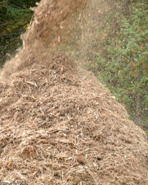 Face Cord Of Wood Explained | Wood Fact | Cut The Wood