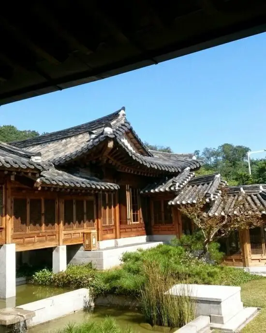 Wood Pulp: What It Is & How It Is Created | Cut The Wood